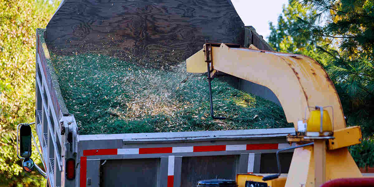 Chip a Tree - How Tree Chipping Services Work